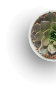 Home - Photondancing