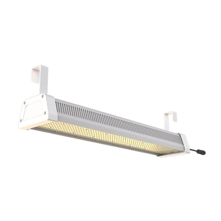 products Archive - Photondancing