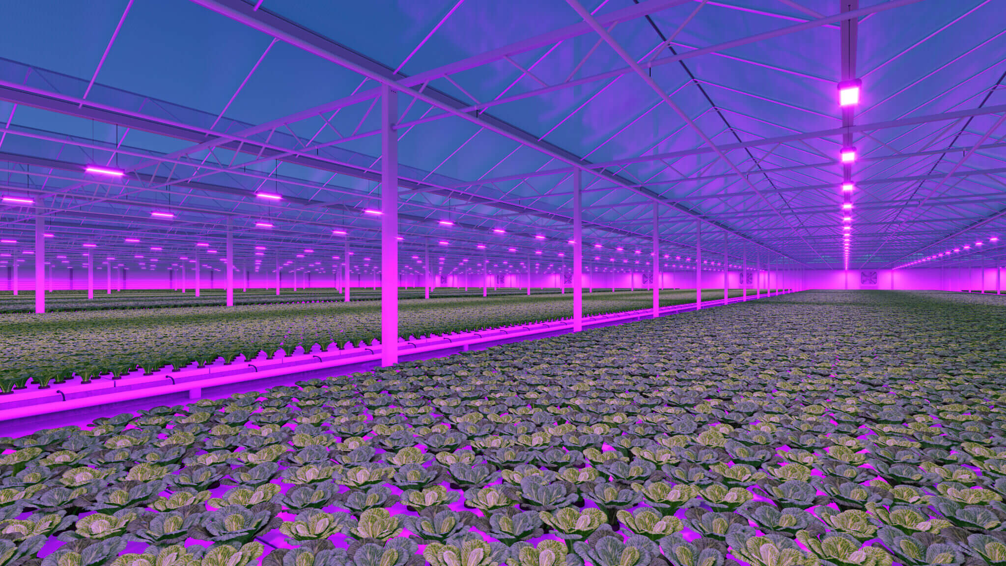 Home - Photondancing