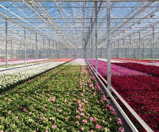 About - Photondancing